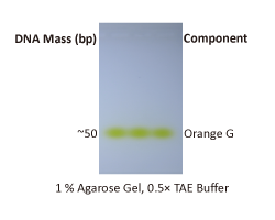 ExcelDye 6X DNA Loading Dye, Orange, 5 ml x 2-PF